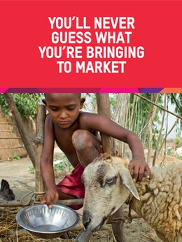 Sheep – Oxfam Canada Unwrapped